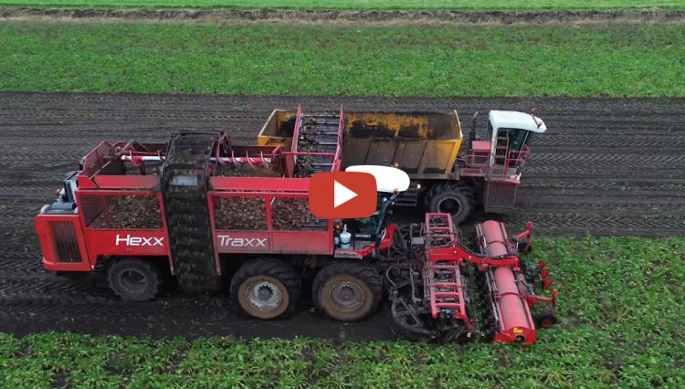 Holmer Hexx Traxx bieten rooien met overlaad wagens in de modder van ...