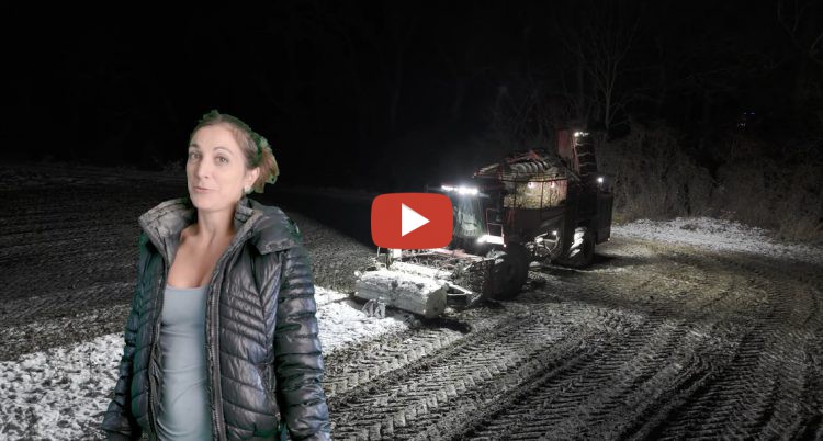 Angela Steiner - Sneeuwchaos en ik er middenin - de Holmer T4 ...