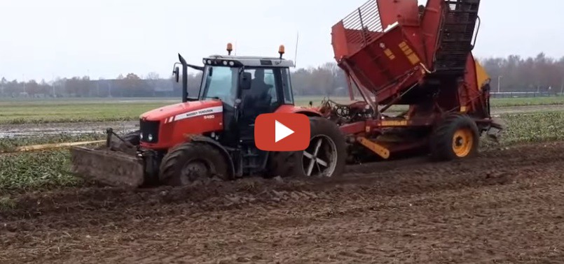 *Modderen --- Voederbieten rooien met een TIM KRB 2 rij bietenrooier ...