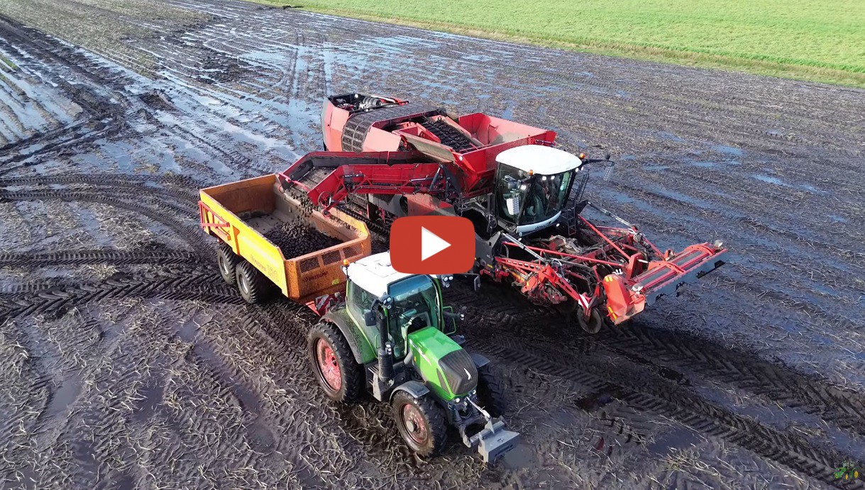 Aardappels rooien onder extreme omstandigheden oude Pekela met De Wulf ...