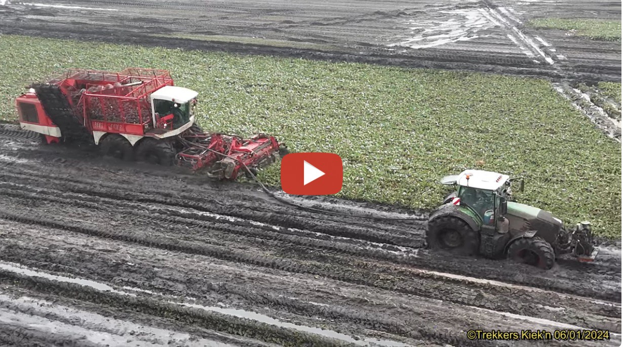 Bieten rooien extreem bij landbouwbedrijf Buijs Rhederveld. -- Trekkers ...