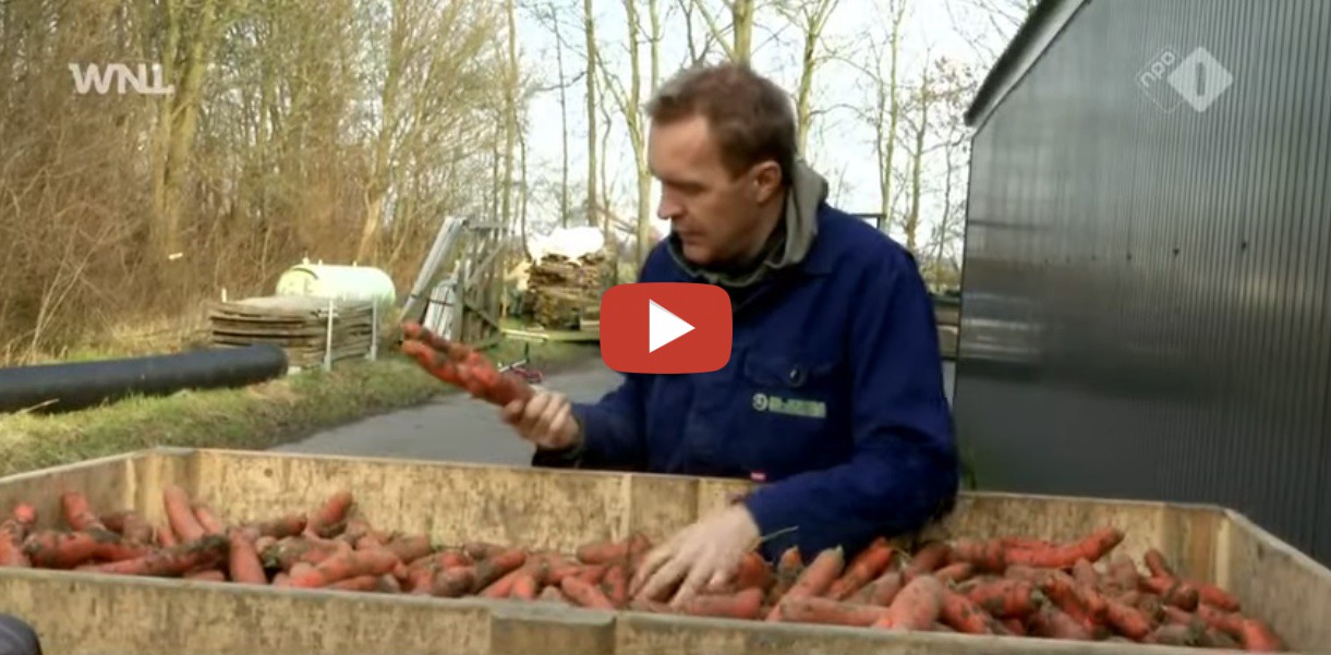 WNL -- Boer blijft achter met 100.000 kilo afgekeurde wortels ...