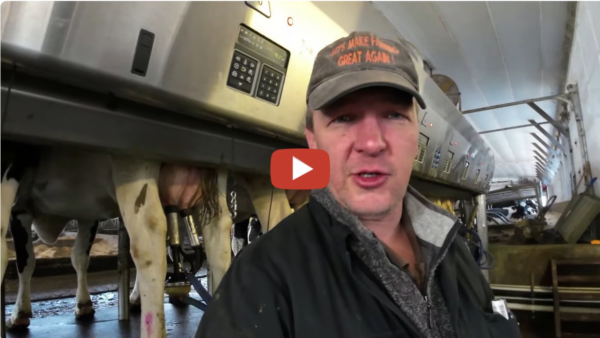 Alex kan het land nog niet op dus voeren, melken en hokken schoonmaken.