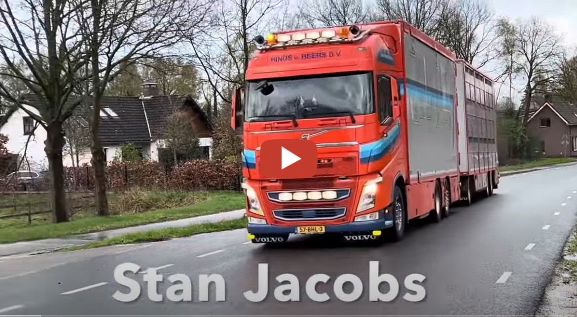 Stan Jacobs vervoert vee met een mooie Volvo truck.- Claudia Treffers