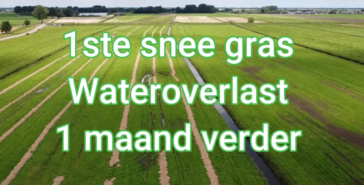 Maarten Polet -- 1ste snee gras 2024 valt in het water (Letterlijk ...