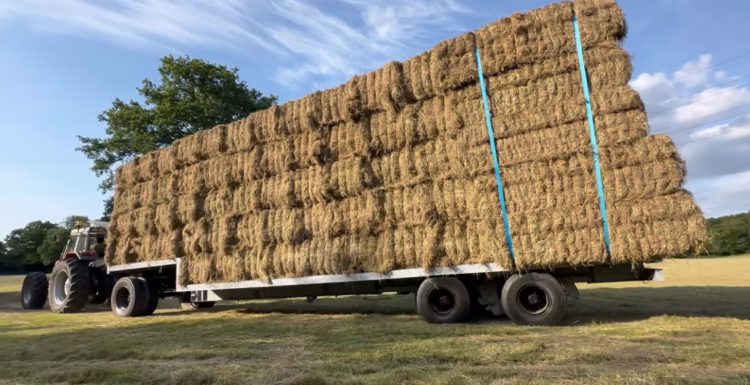 Hooioogst XXL in Engeland -- The Hay Men
