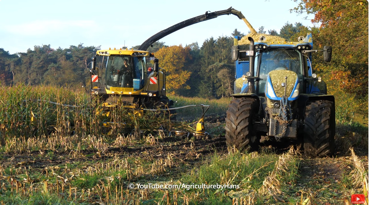 Agriculture by Hans -- Mais hakselen 2024 door loonbedrijf Joosen ...