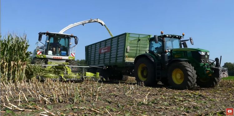 Loonbedrijf Markvoort uit Markelo. Mais hakselen 2024 met een Claas ...