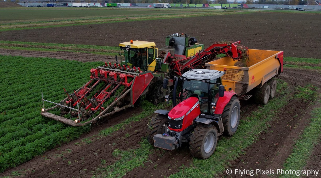 Wortels rooien door A & P Sweep b.v. uit Zevenbergen bij Akkerbouwbedrijf Van Laarhoven met hun ...