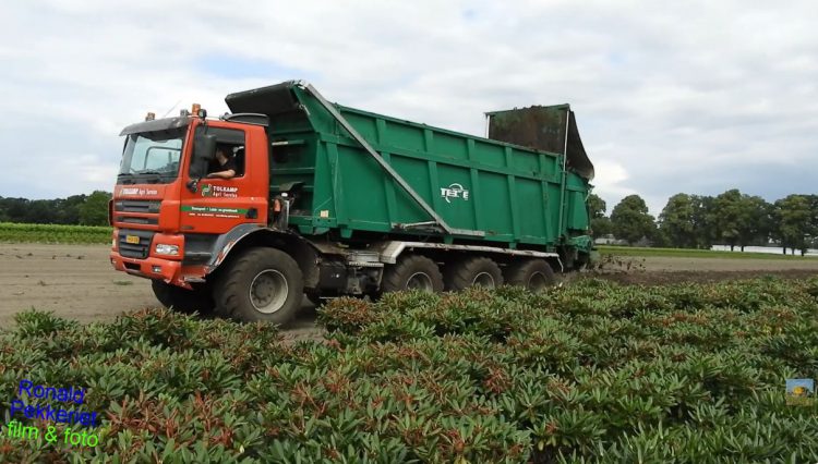 Vaste mest strooien met een Ginaf & Tebbe strooier van Tolkamp Agri ...