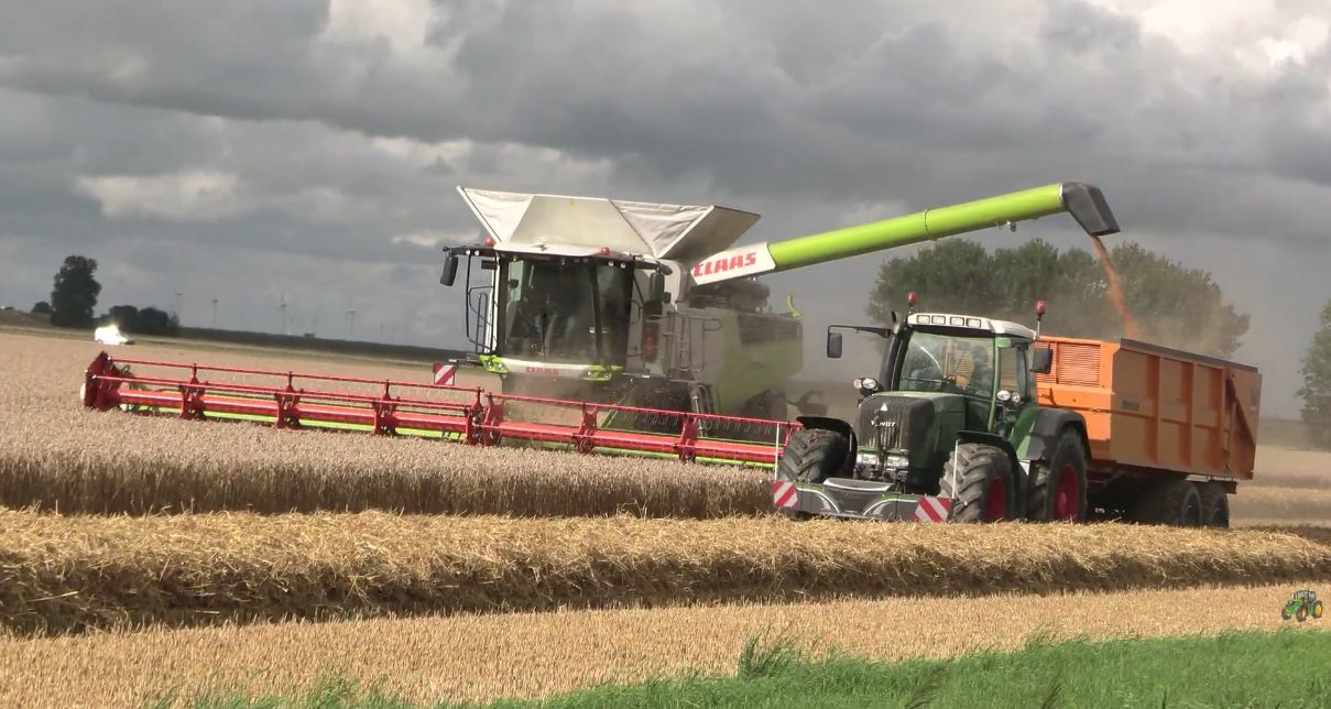 Claas Lexion 8800 aan het tarwe dorsen in de Johannes Kerkhoven Polder ...