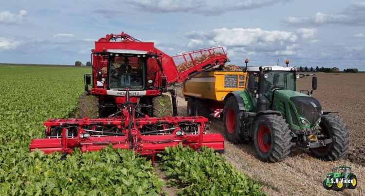 De Holmer Hexx Traxx van Nieuwenhuyzen Agro service & Cultuur techniek ...